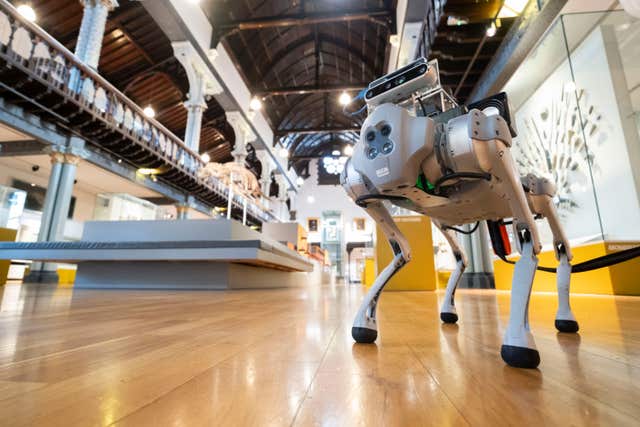AI-powered robot guide dogs developed for visually impaired | Eastern ...
