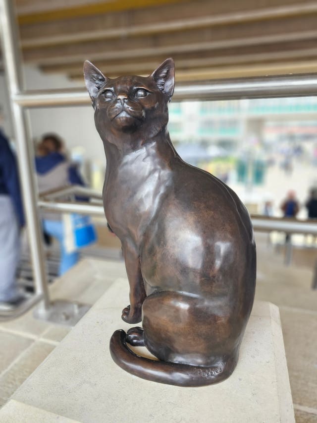 Pebbles the campus cat honoured with statue at his chosen university ...