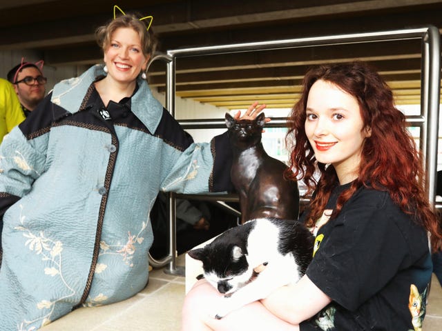 Pebbles the campus cat honoured with statue at his chosen university ...