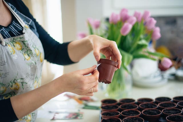 The spring jobs you can get done in the garden this Easter