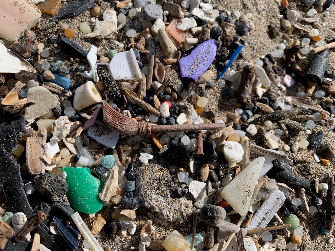 Beachcomber, 13, finds ‘holy grail’ Lego octopus washed ashore from ...