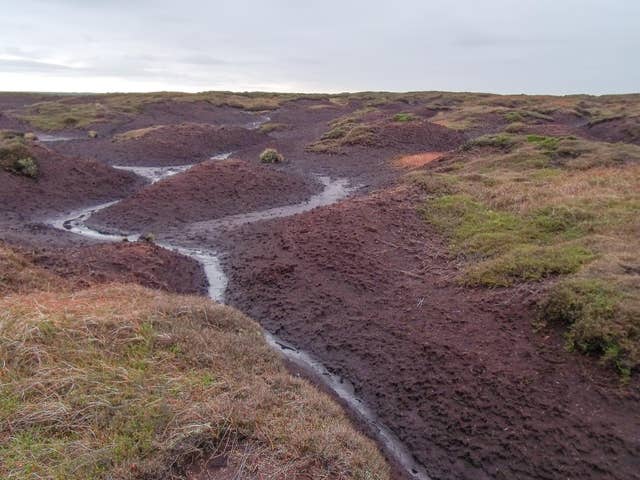 Moss ‘speed bumps’ planted on Kinder Scout to curb flood risk and ...