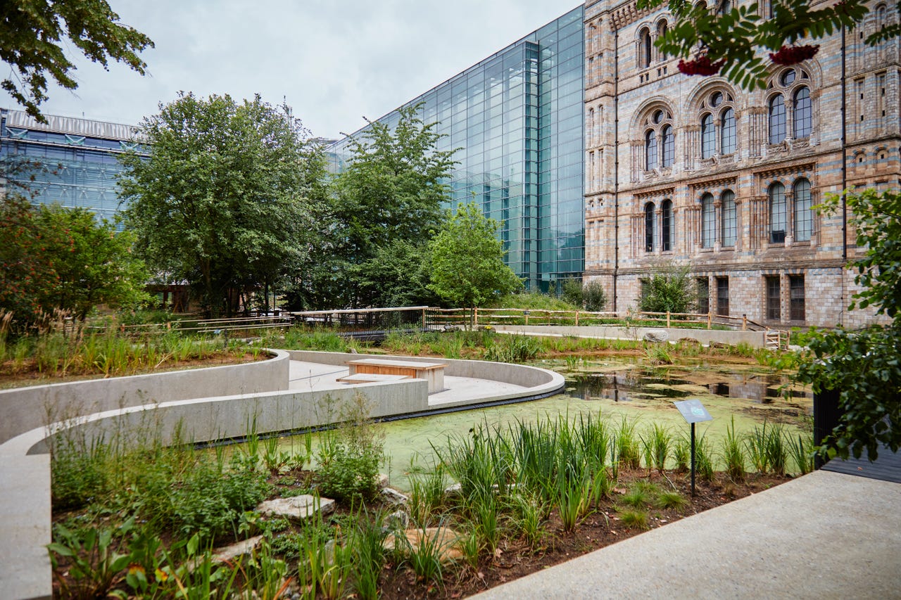Natural History Museum turns on sensors in high-tech gardens to monitor ...