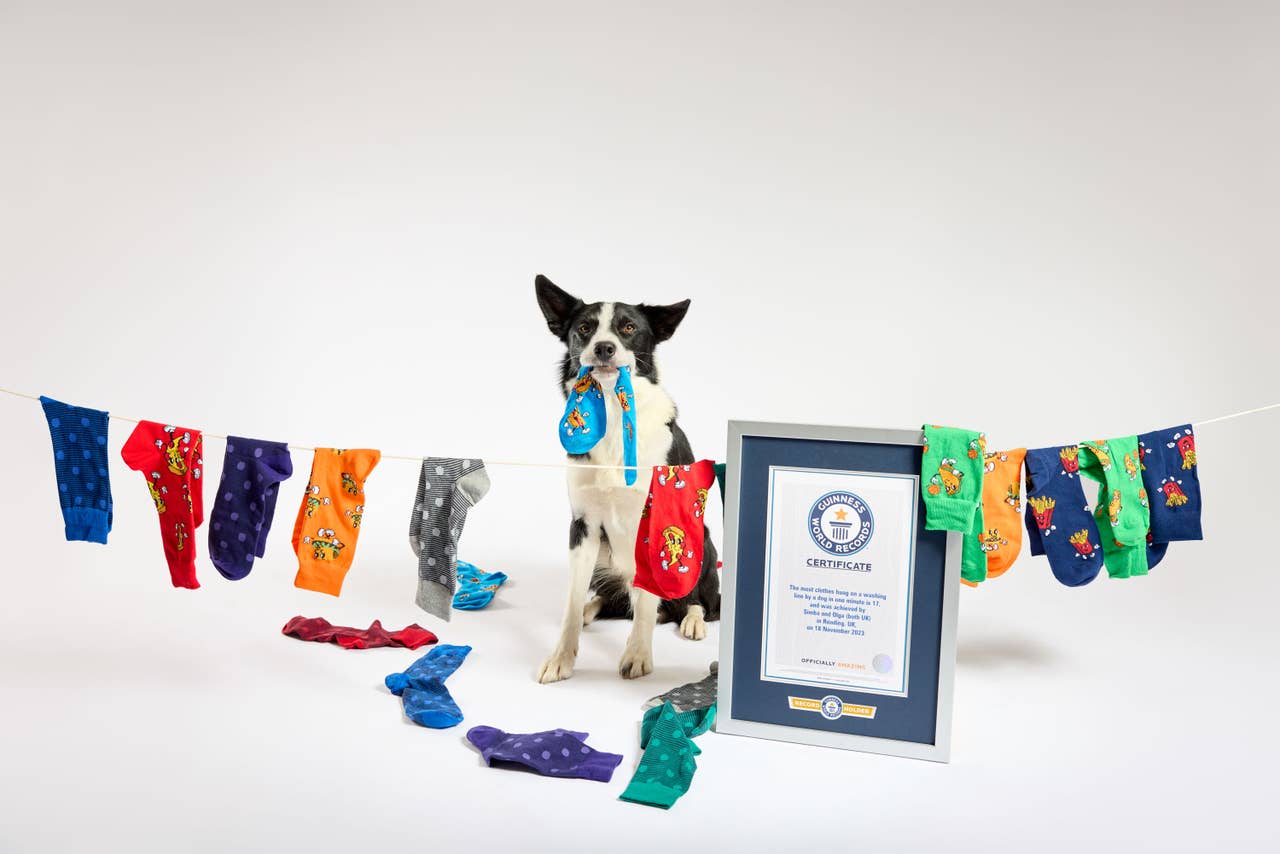 UK contributes largest electric toothbrush to new Guinness World ...