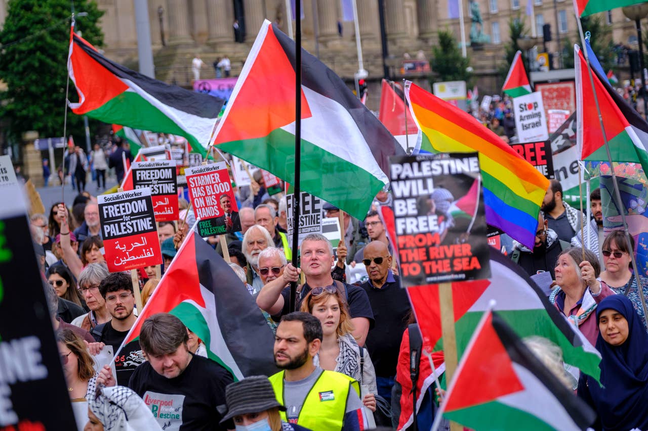 Pro-Palestine marches will continue until Israel sanctioned, says ...