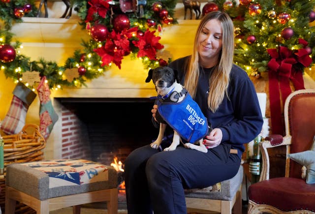 Battersea rescue dogs needing homes head to Highgrove for footstool ...