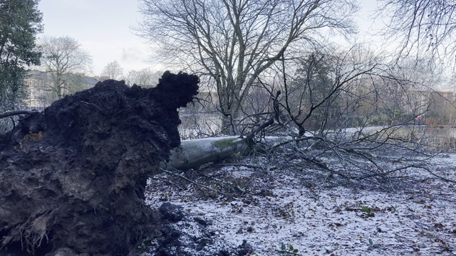 Thousands still without power in Scotland as Storm Eowyn clean-up continues