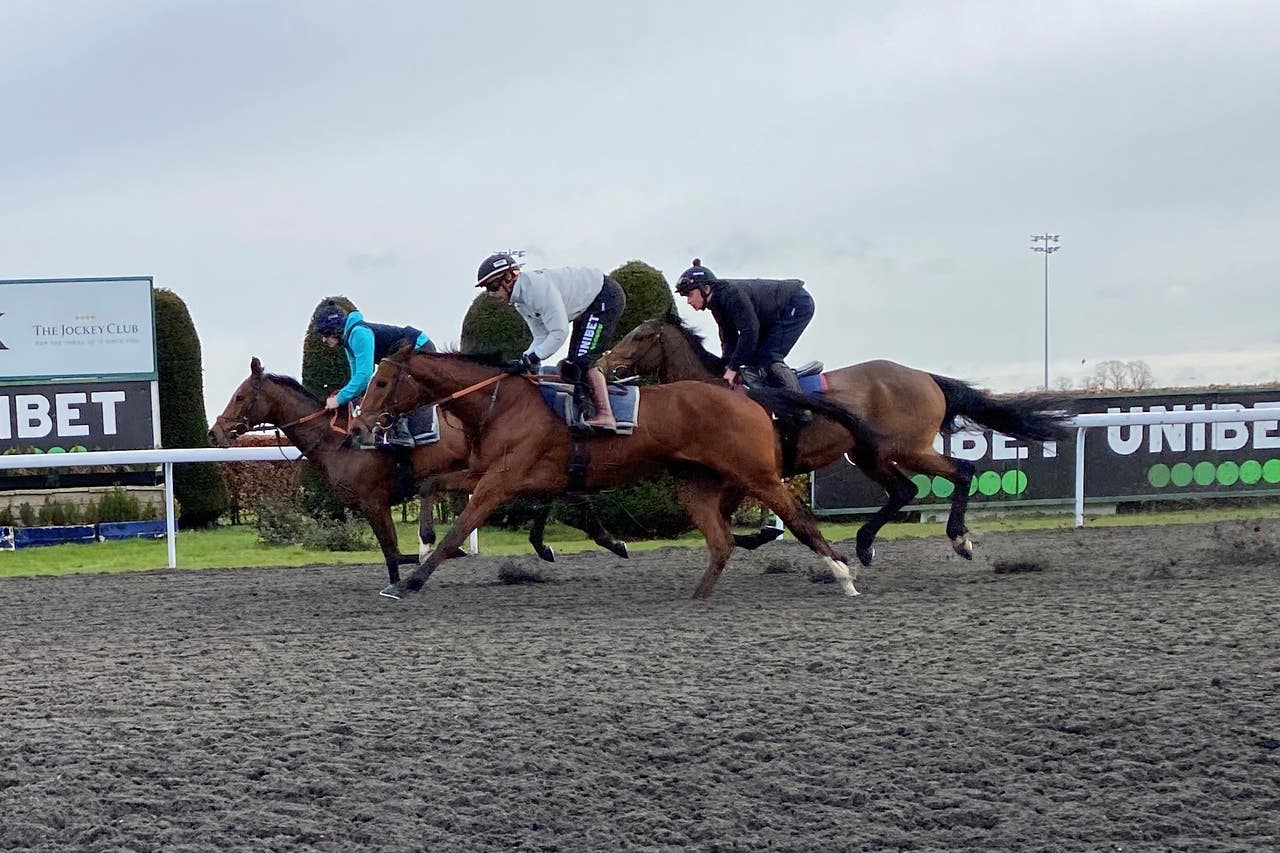 De Boinville: I think he’s in really good order… we’re where we should ...