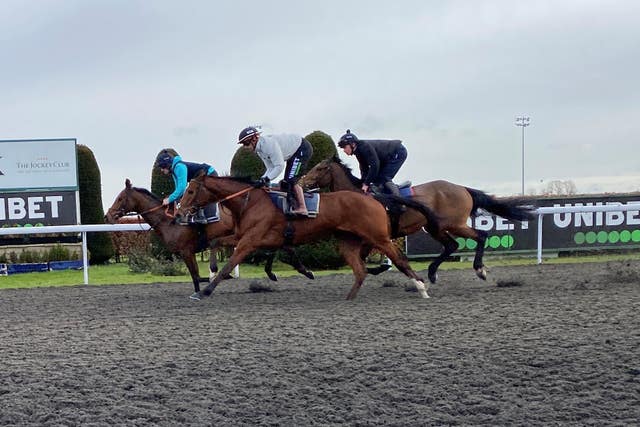 De Boinville: I think he’s in really good order… we’re where we should ...