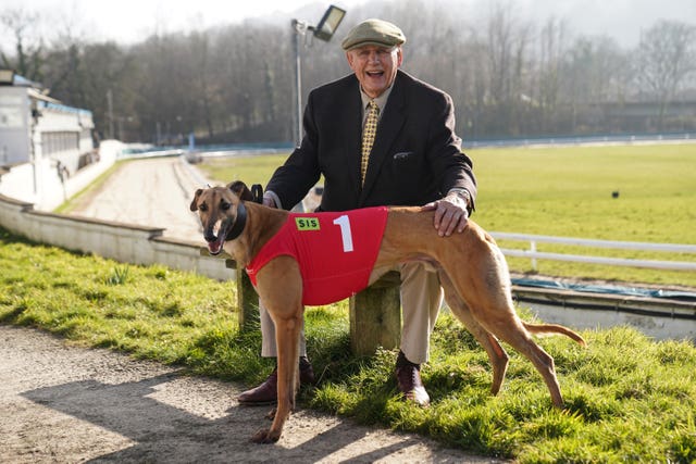 Wales’ last greyhound track under threat after government proposes ...