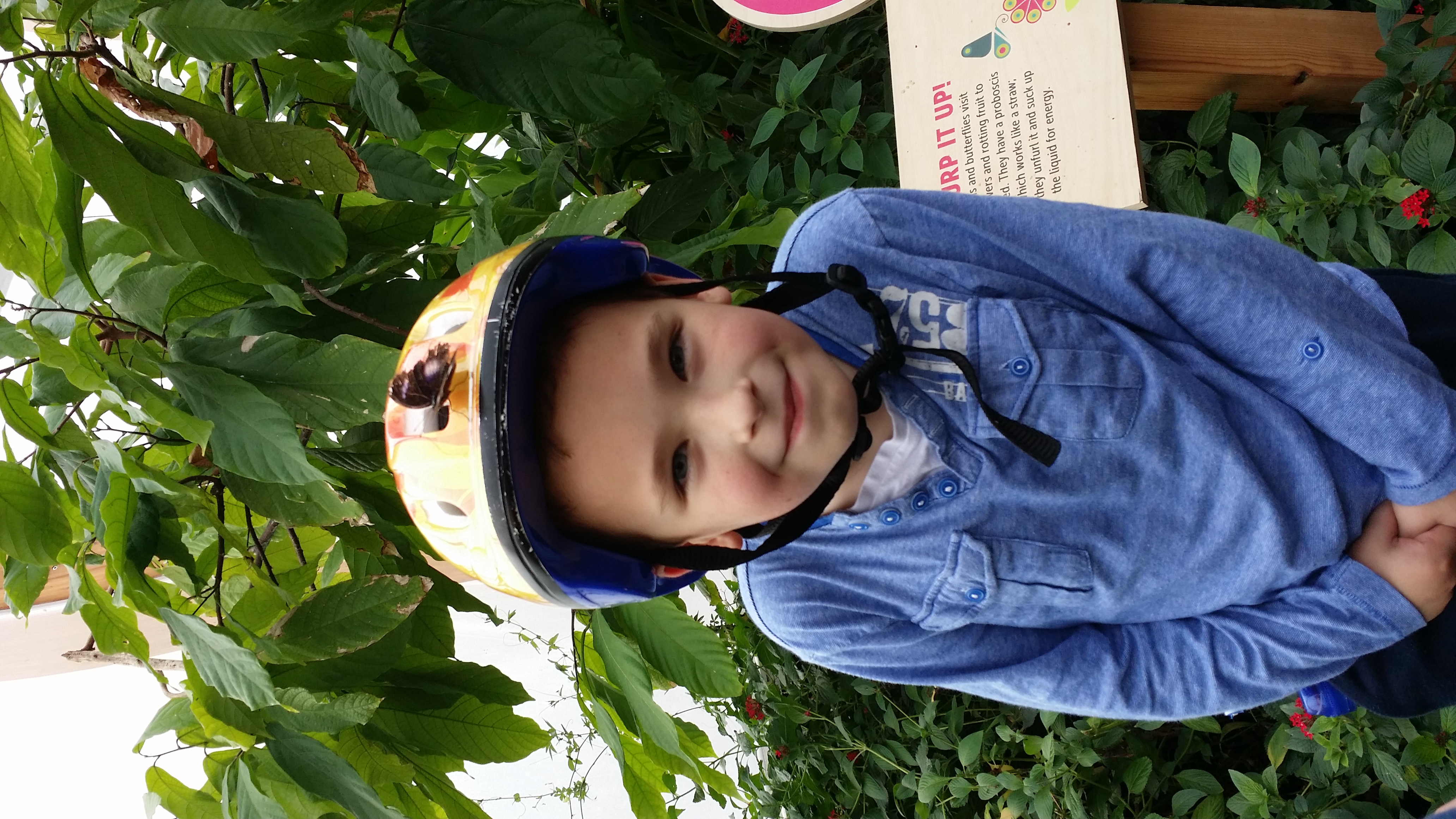 Driver who ran red light is jailed for causing death of 14-year-old boy ...