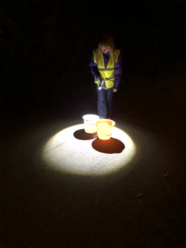 Toads on the road! Year of milestones for Bath-based patrol | Express ...