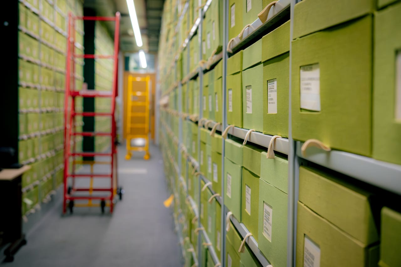 ‘Zombie spiders’ and Darwin collection among fungi archived in Kew ...