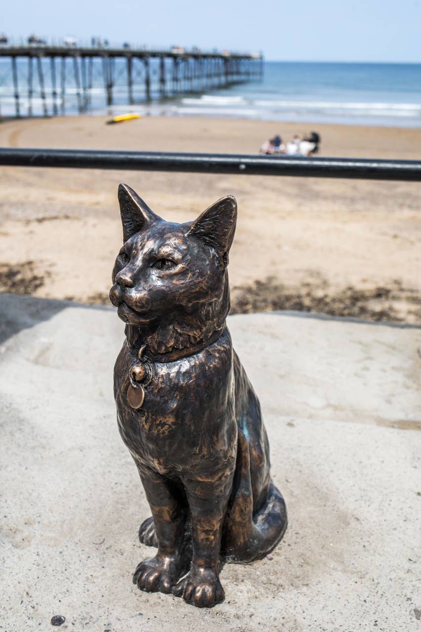 Community crowdfunds statue for celebrity cat Hendrix | Eastern Daily Press