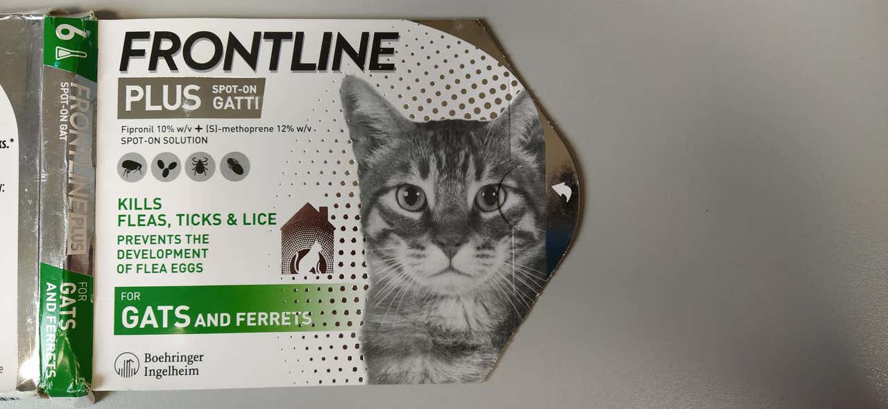 Officials warn pet owners about toxic chemicals found in fake medicines ...