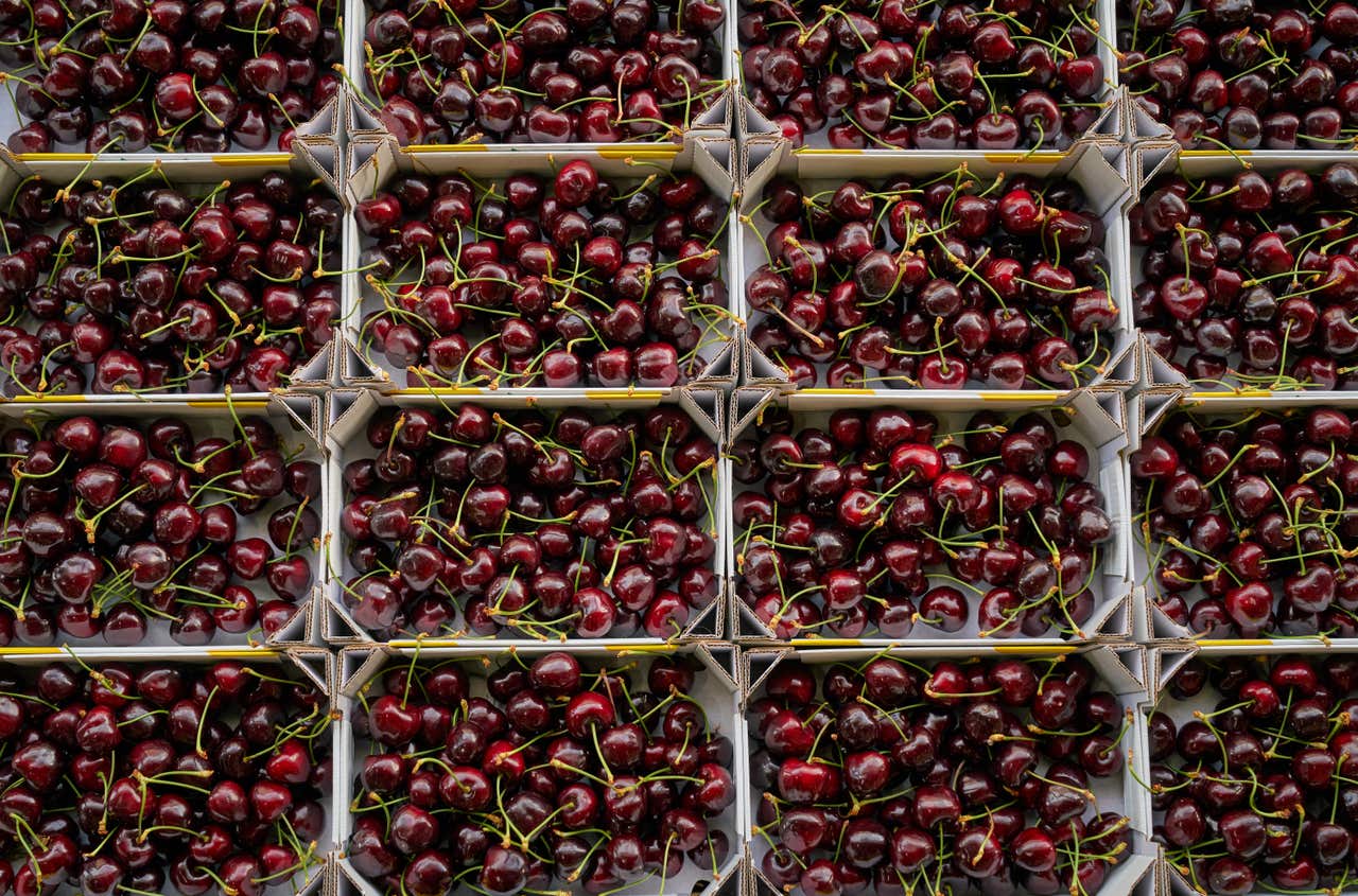 Warm weather leads to glut of cherries with larger packs on sale at ...