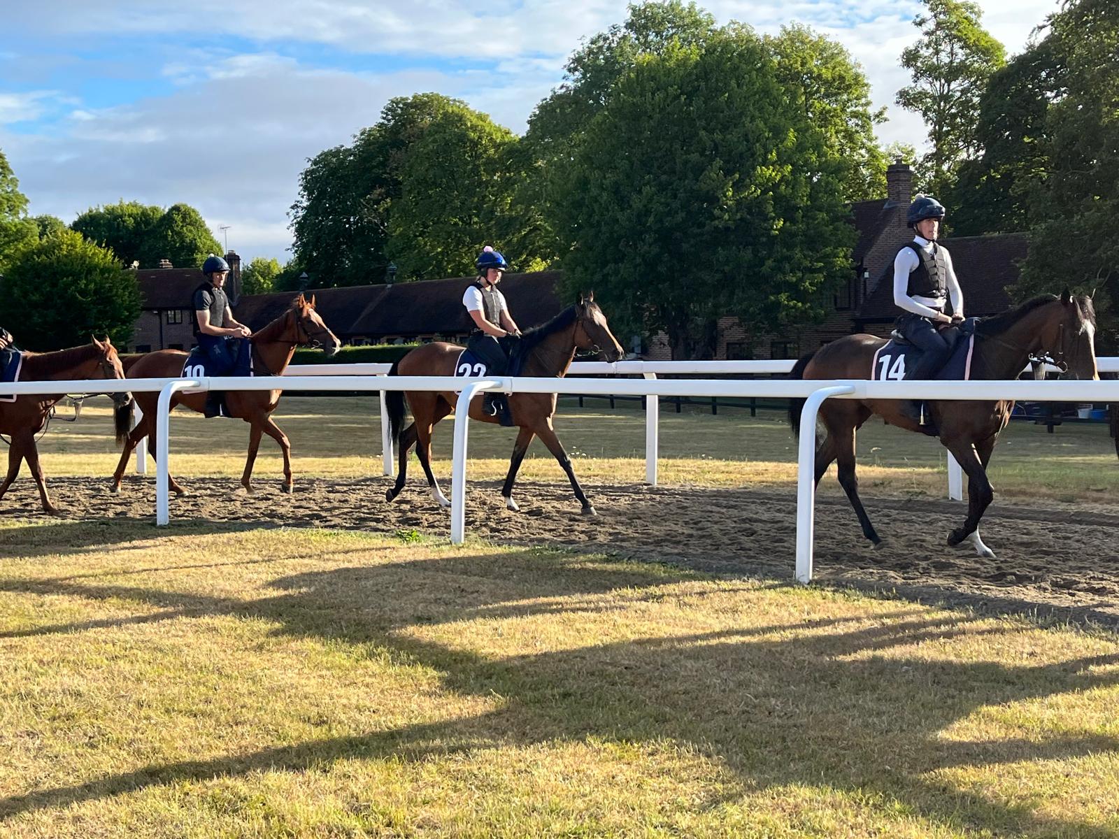 Noble to Champion Walker’s Goodwood hopes | Watford Observer