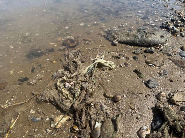 Around 5m wet wipes cleared from Thames as work to remove ‘island ...