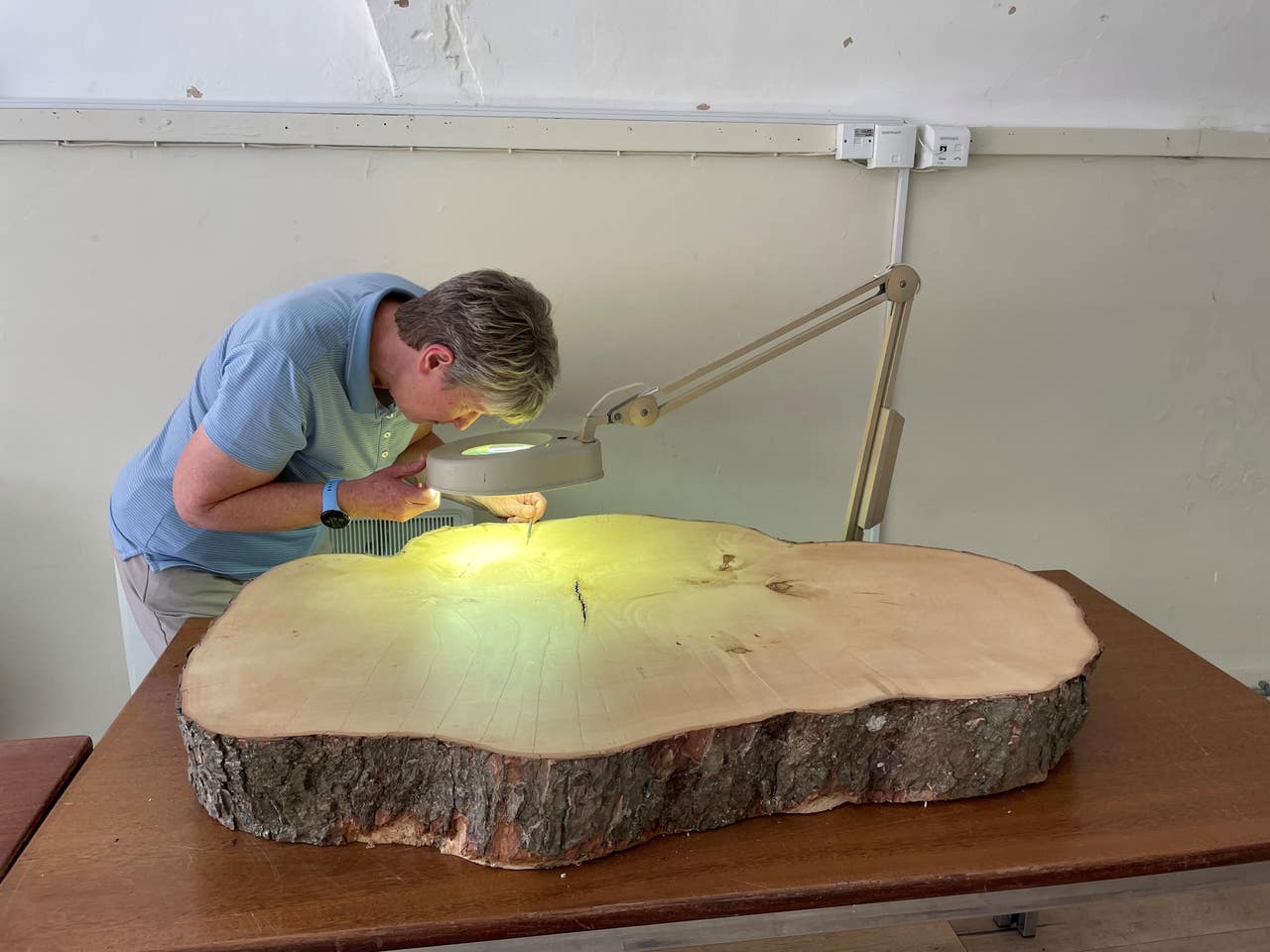 Minimum age of Sycamore Gap tree confirmed by scientists after illegal ...