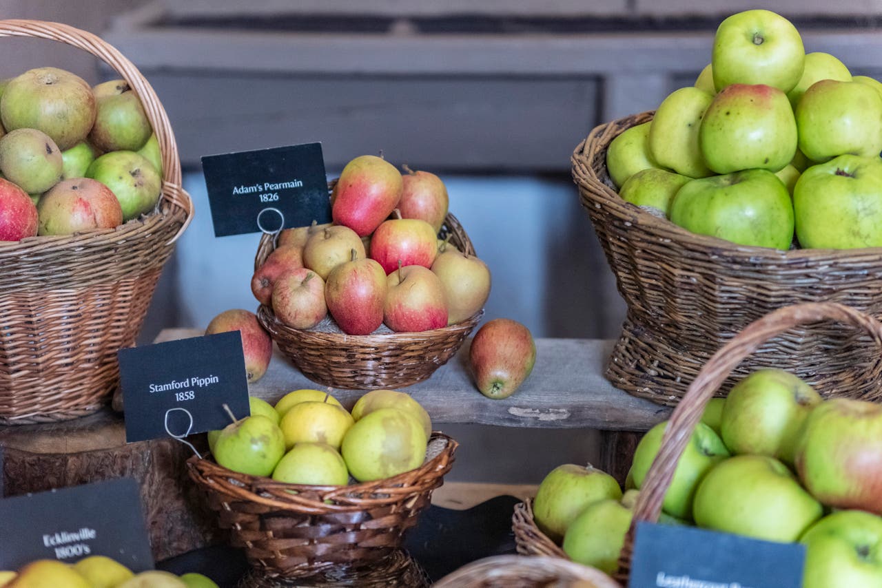 Bumper crops of apples and pumpkins despite drought and record hot ...
