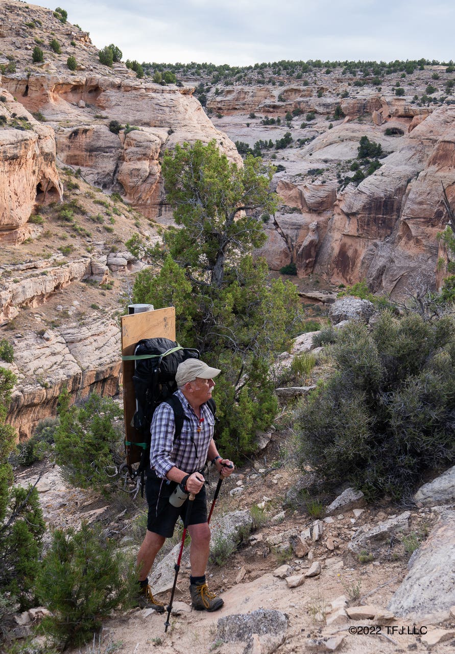 Artist and explorer Tony Foster hopes his work moves people to protect ...