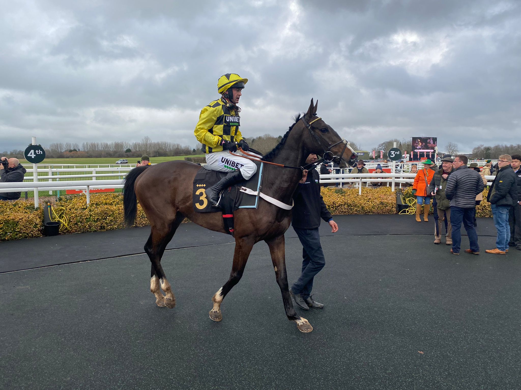 Feel Gut looks every inch the part on Warwick debut | Runcorn and ...