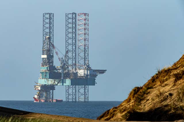 Bunnies ‘doing well’ after rescue from North Sea drilling rig | Herald ...