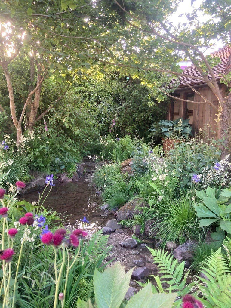 Barking up the right tree: Monty Don’s garden brings joy to dogs after ...