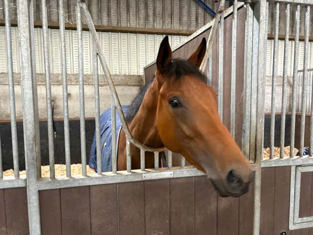 Karl Burke craving more Ascot glory, 10 years on from breakthrough ...