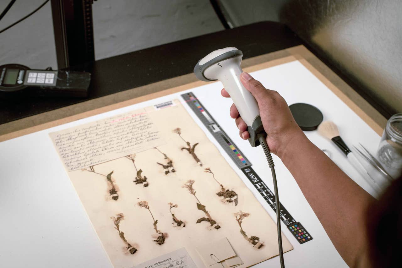 AI and digital tech used to chart climate impact and extinction risk ...