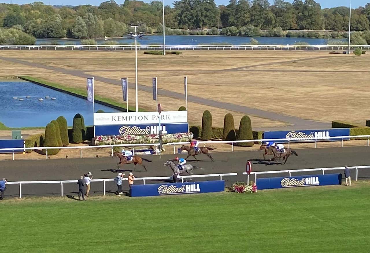 Constitution Hill beaten but not out with Kempton disappointment ...