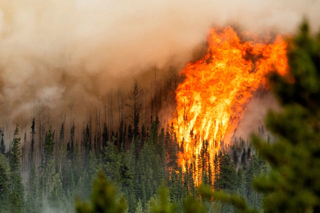 Wildfires in Canada break records for area burned, evacuations and cost ...