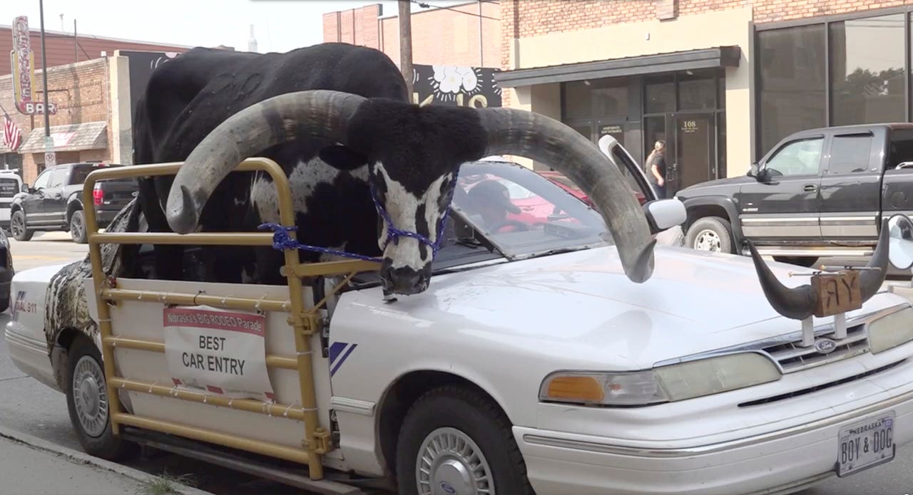 Man pulled over for driving with huge bull called Howdy Doody in ...