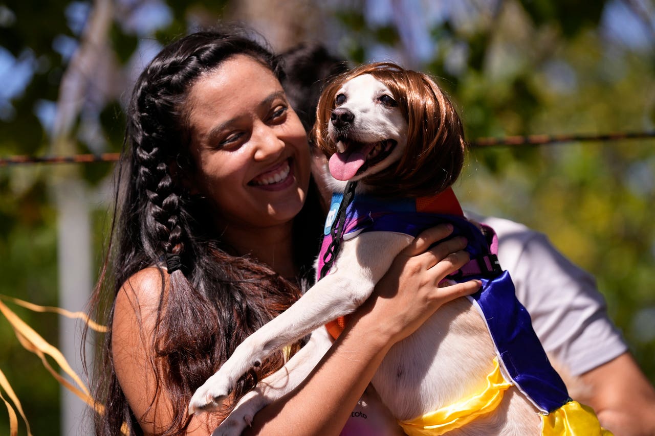 Dogs in costumes parade in Rio de Janeiro as pet lovers kick off ...