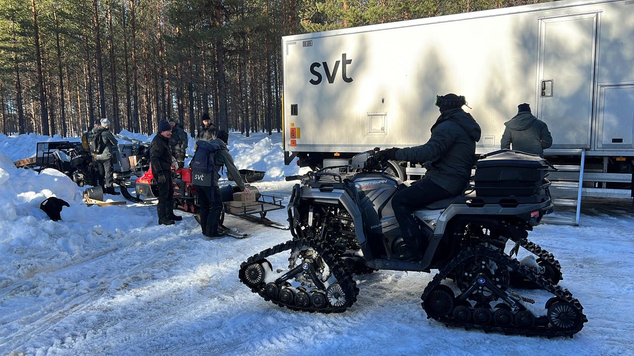 Millions tune in to 24-hour live coverage of Sweden’s epic moose ...