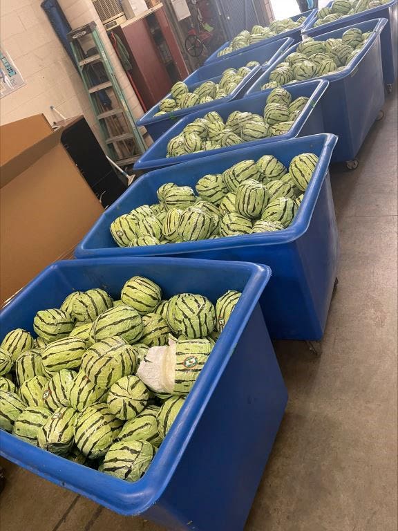 Fake Watermelons Stuffed With Drugs Seized At Us Mexico Border Asian