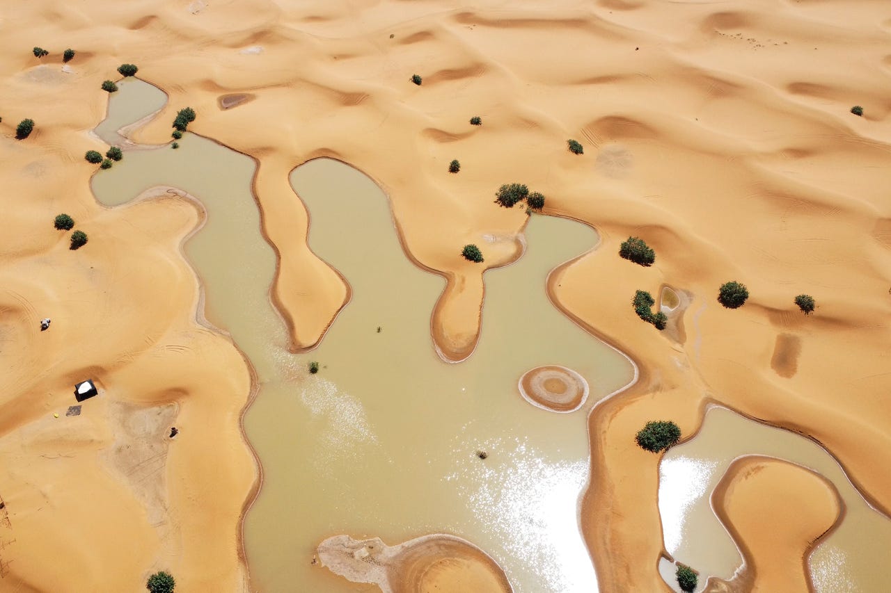 Water gushes through palm trees and sand dunes after rare rain in ...