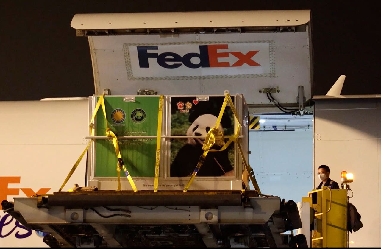 Giant pandas arrive in US from China as part of new co-operation deal ...