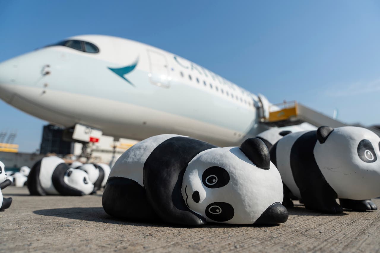 Hong Kong launches panda sculpture tour amid tourism drive | News and Star