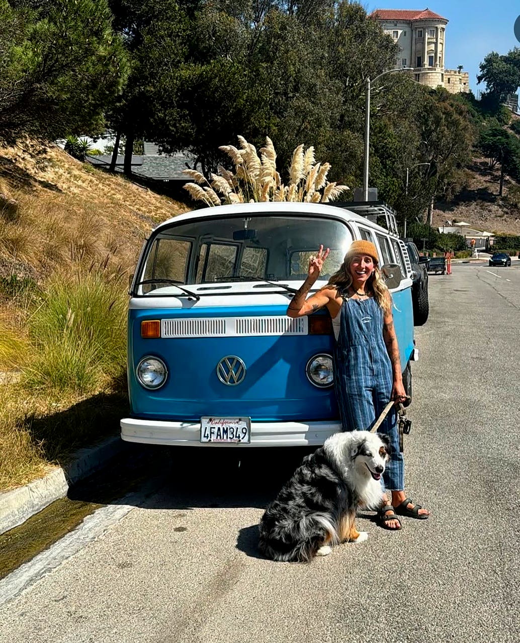 ‘It should have been toasted’: Retro blue VW van survives deadly LA ...