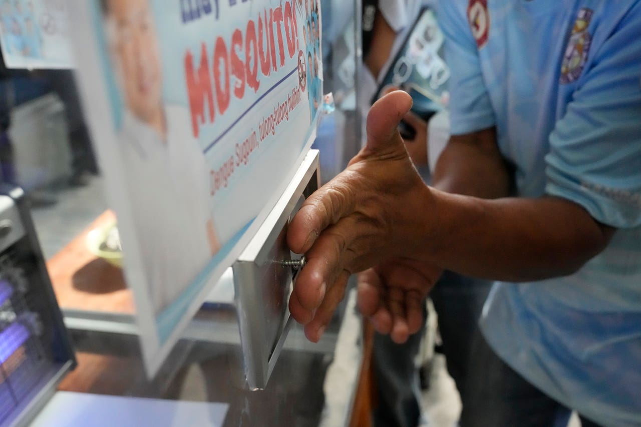 Philippines village battles dengue fever by offering bounties for ...