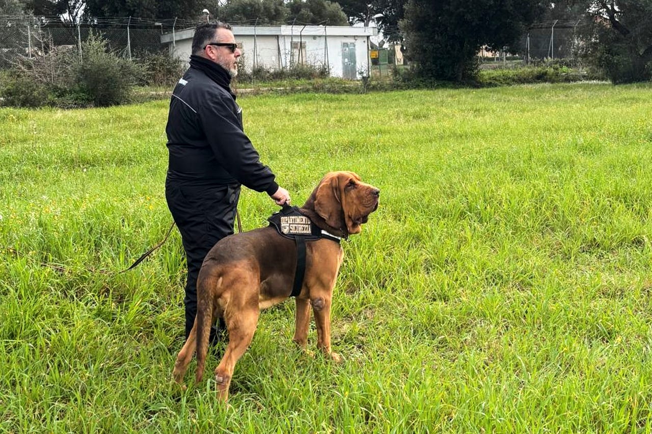 Italy outraged at killing of heroic police dog ‘given food laced with ...