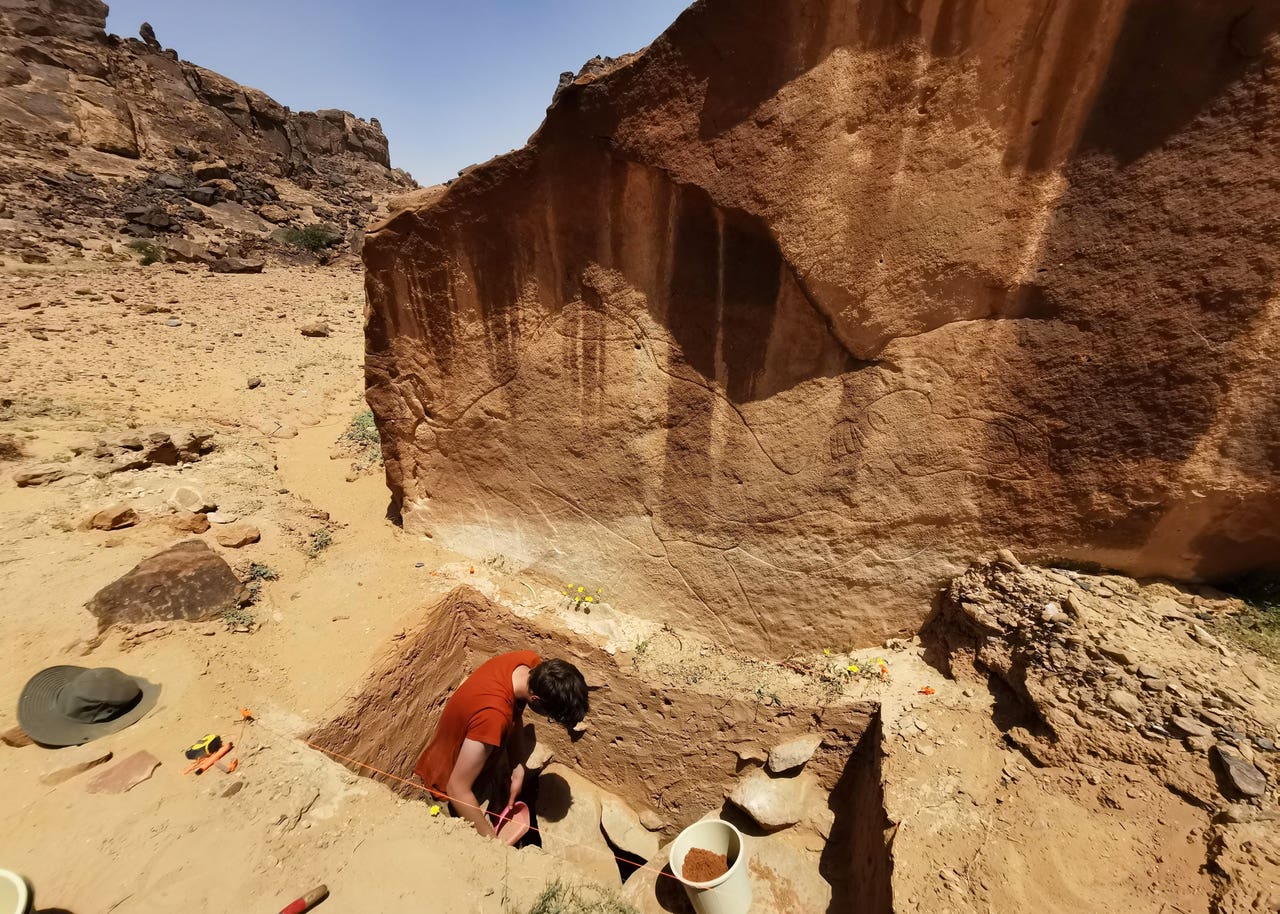 12,000-year-old carvings of animals discovered in Saudi Arabian desert ...