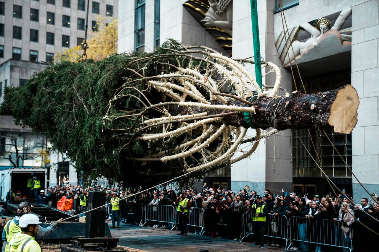 Rockefeller Centre Christmas tree’s arrival kicks off holiday season in ...