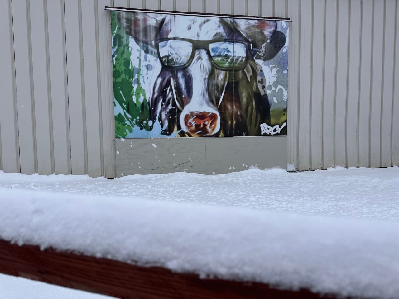 More than 1,500 flights cancelled in US due to snow | Runcorn and ...